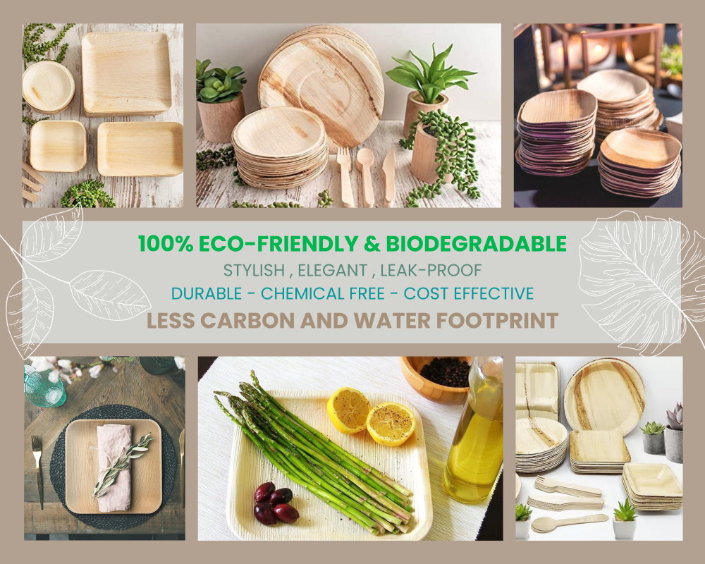 About us - Eco Single Use